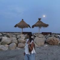 Explicație simplă: Teoreme despre Paralelism (Matematică) - Knowunity